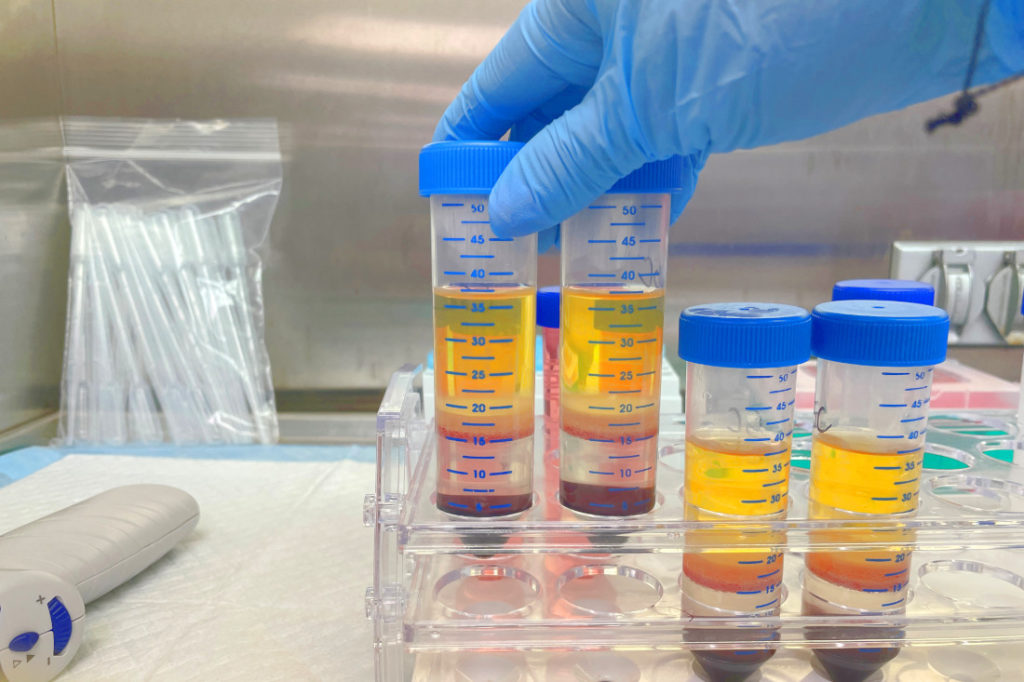 Home - INTERLAB CORP